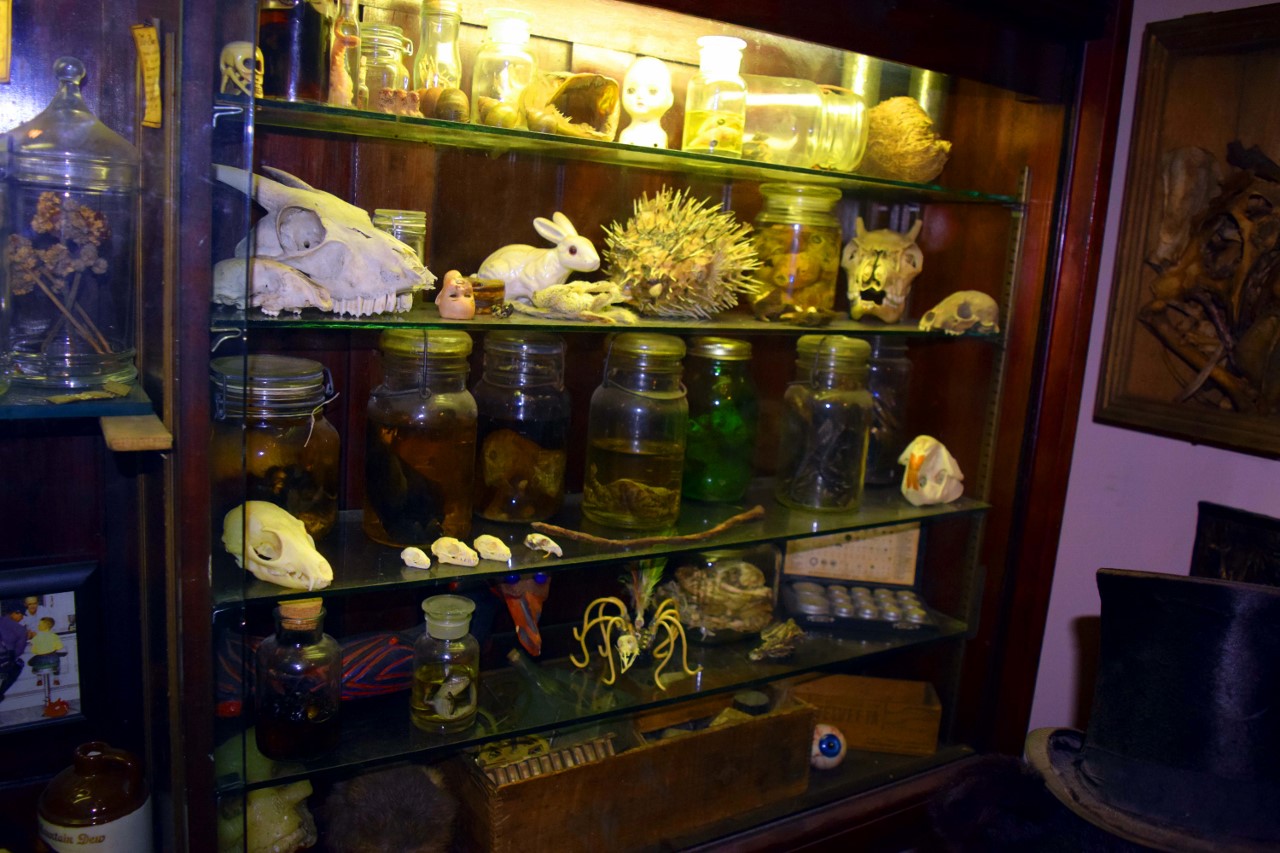 Trundle Manor - House of Oddities
